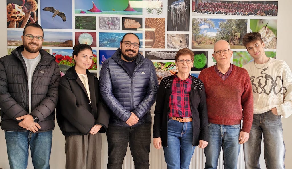 Un equipo de la UMU descubre una especie de musgo exclusiva de la ...